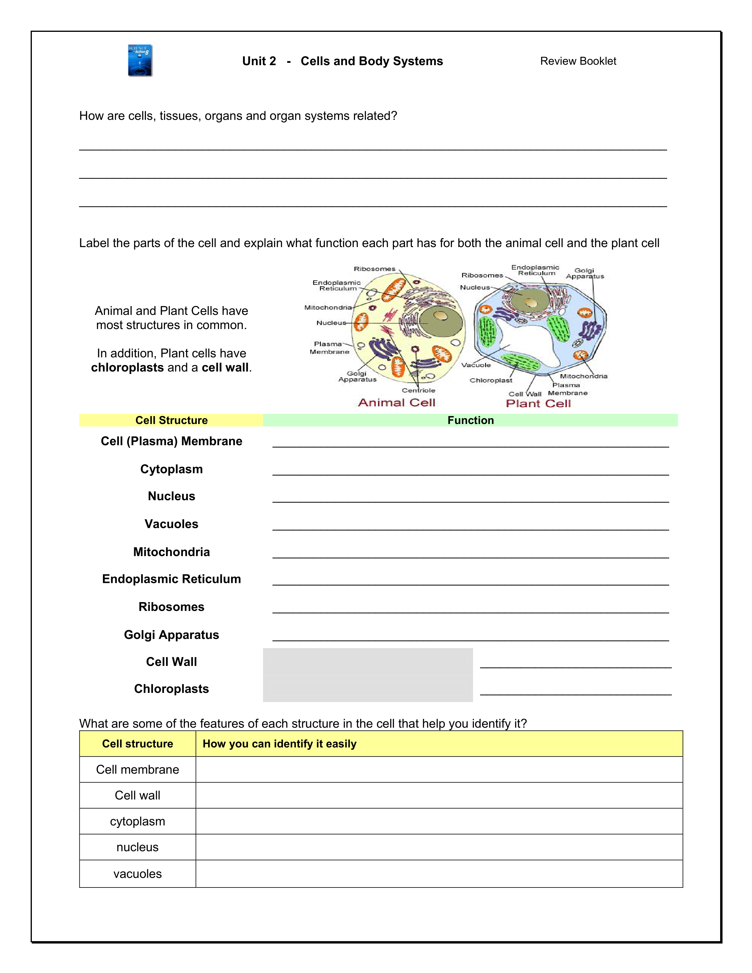 Science 8-1: Unit B: Cells and Systems Unit Review - Don Moon | Library ...