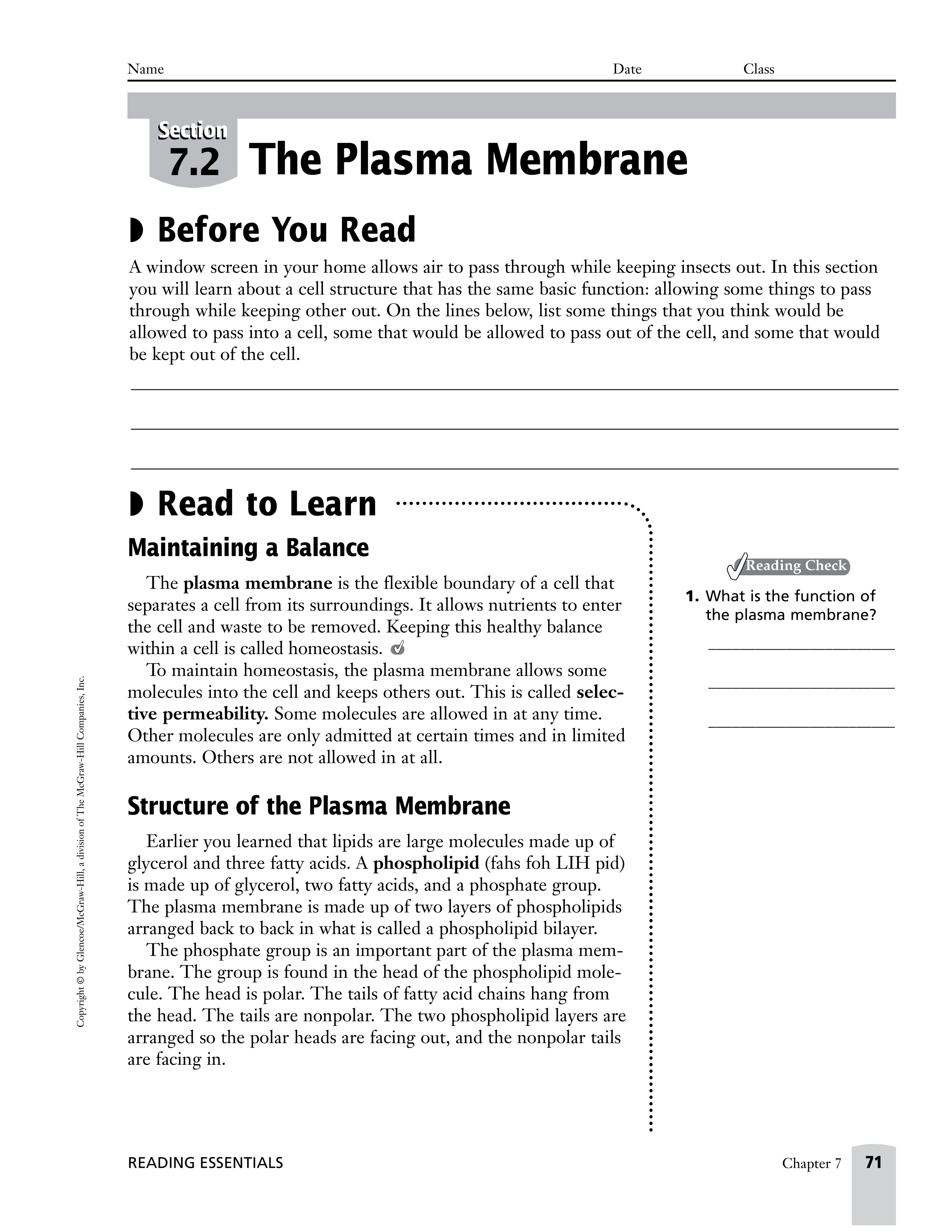 Plasma Membrane Reading - Katelyn Owens | Library | Formative