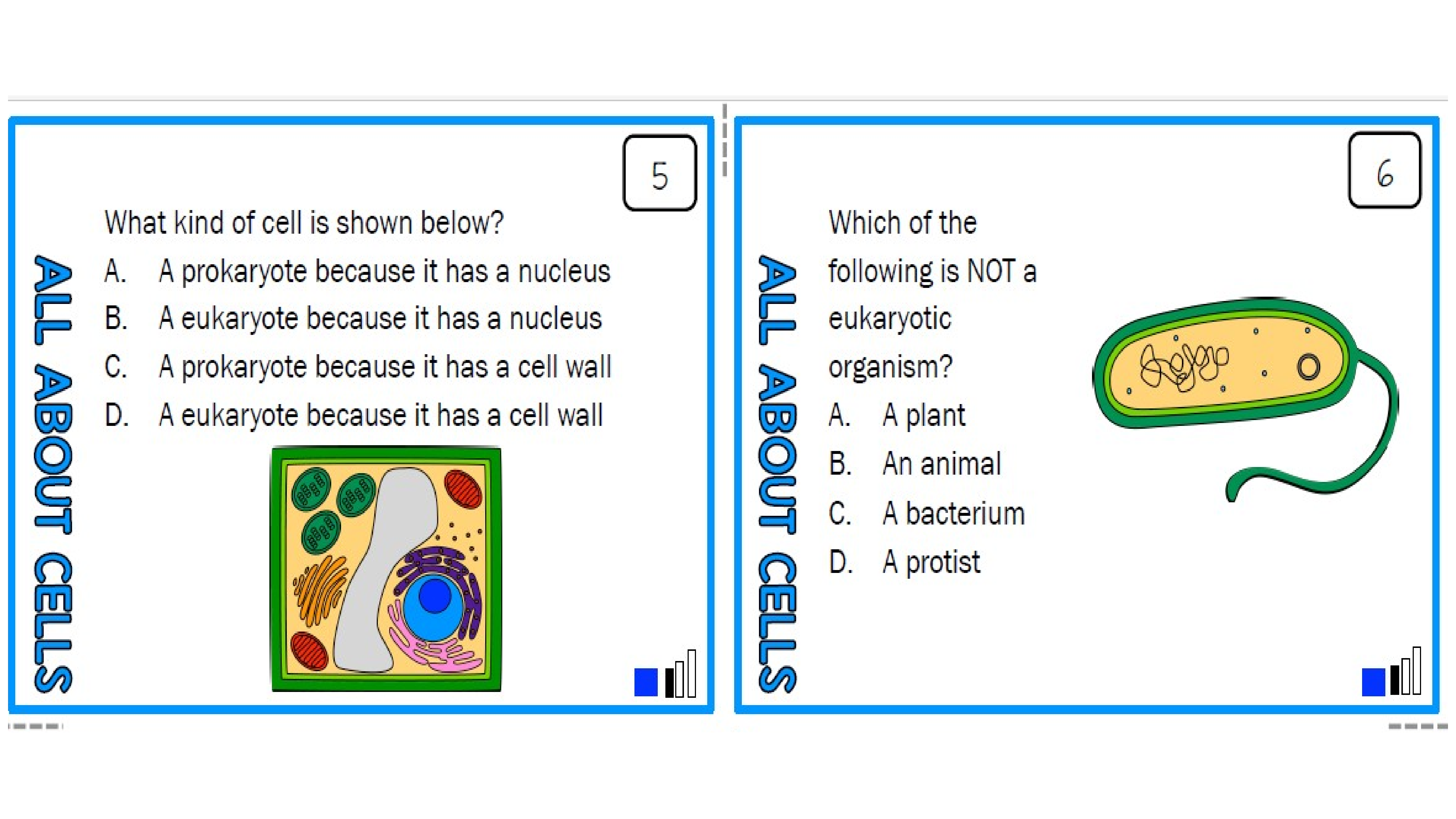 Cell Task Cards - Katelyn Owens | Library | Formative