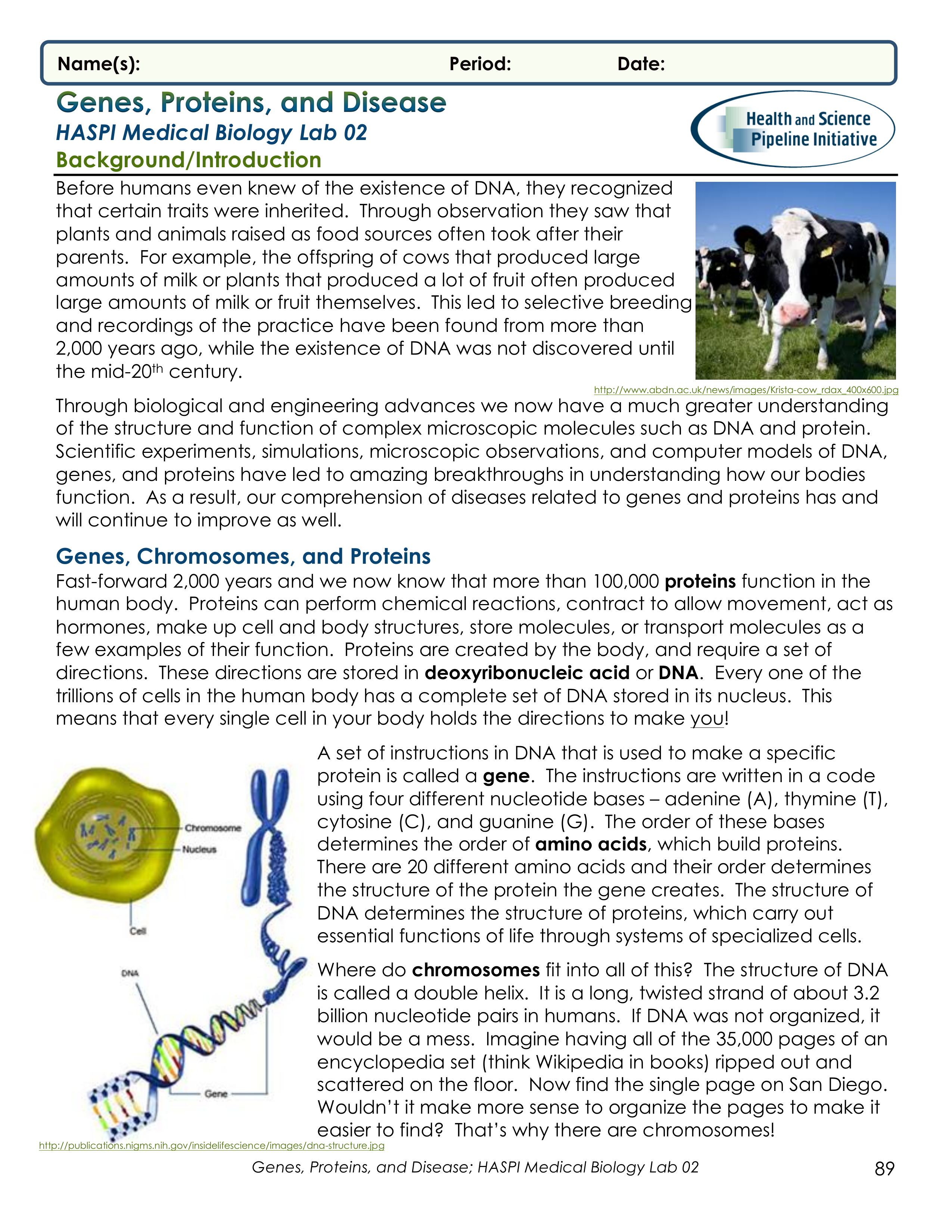 Gene to Protein Reading - Katelyn Owens | Library | Formative