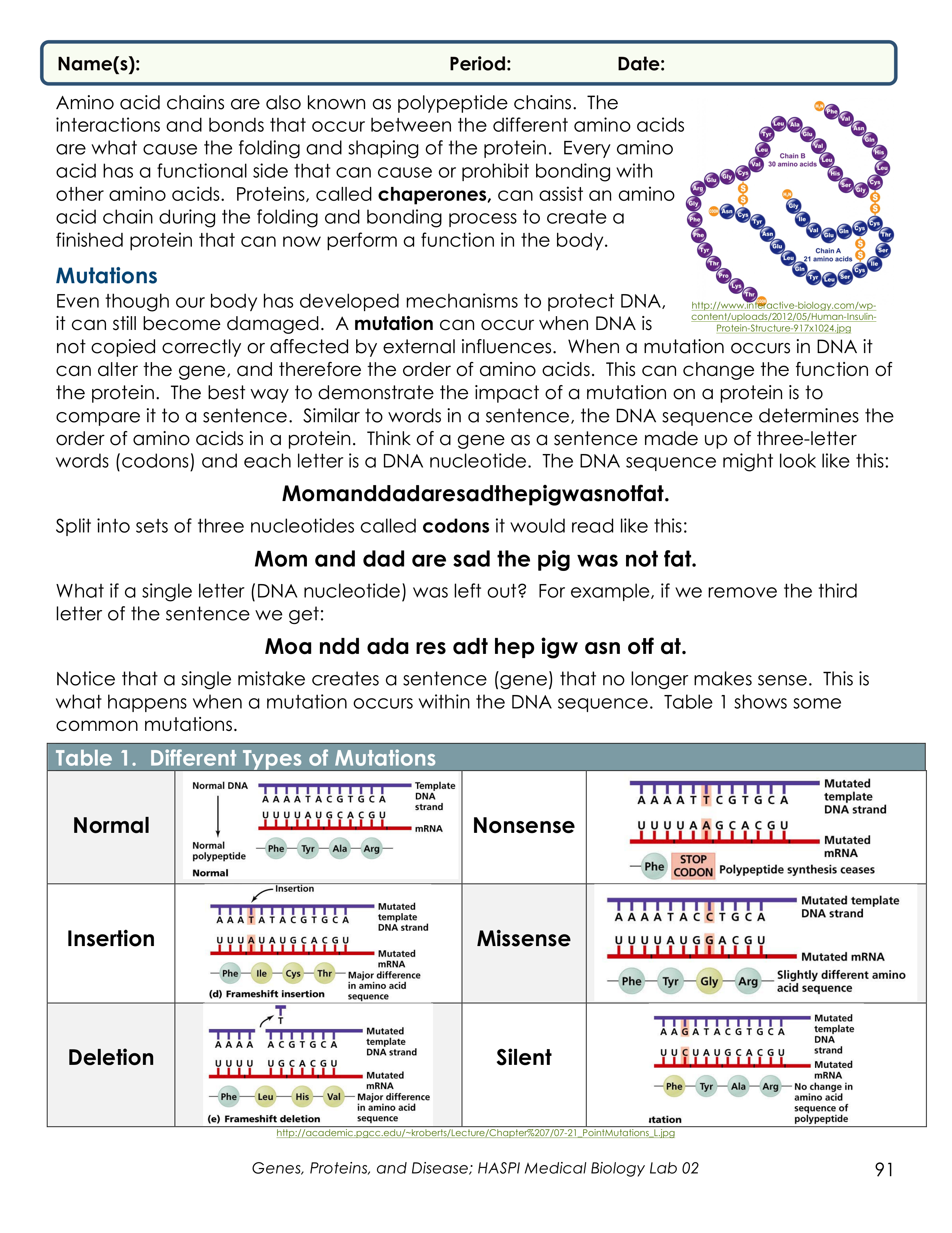 Gene to Protein Reading - Katelyn Owens | Library | Formative