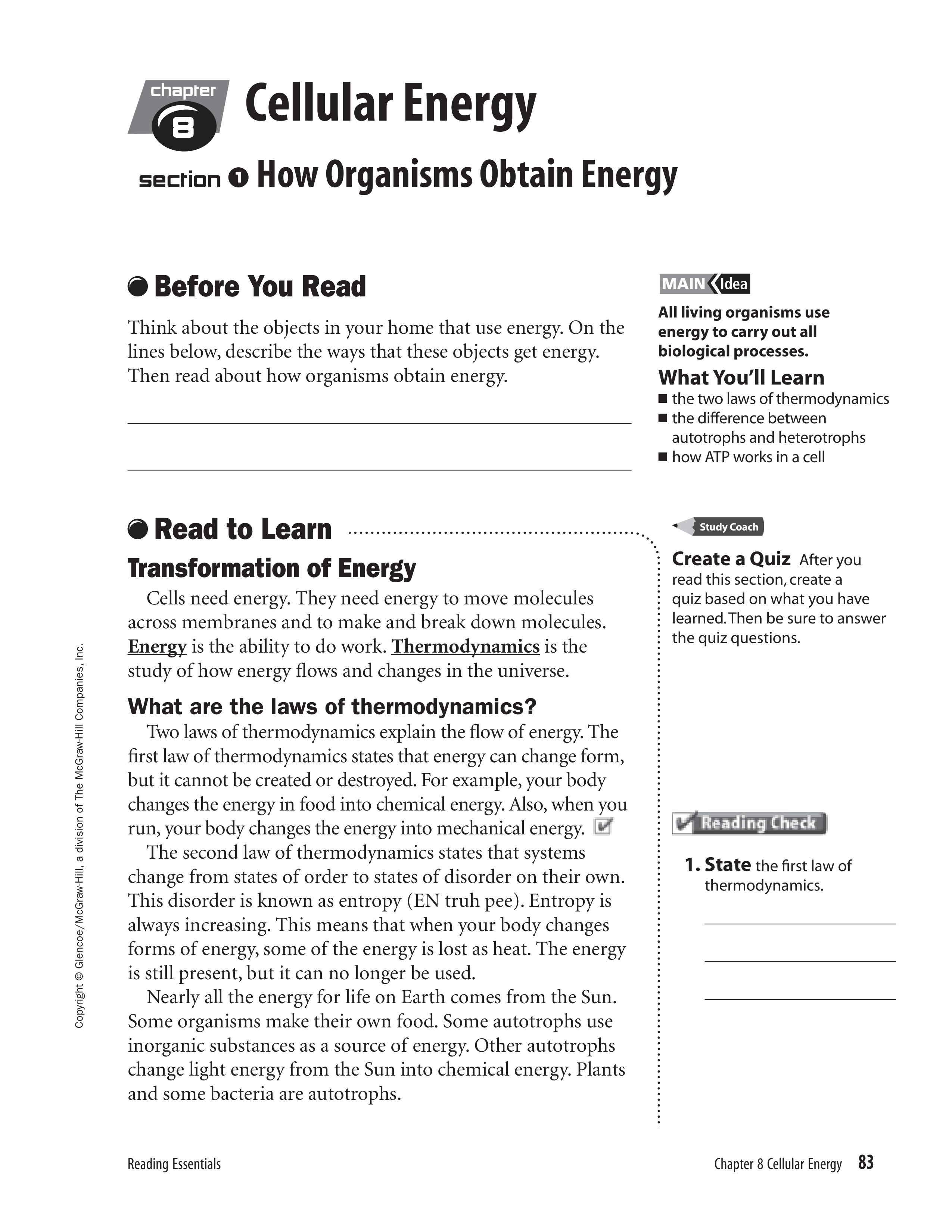 How Organisms Obtain Energy - Katelyn Owens | Library | Formative