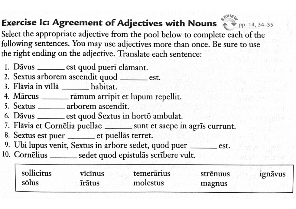 ER 07 Ex. Ic Agreement of Adjectives with Nouns - Jenny Mammana ...