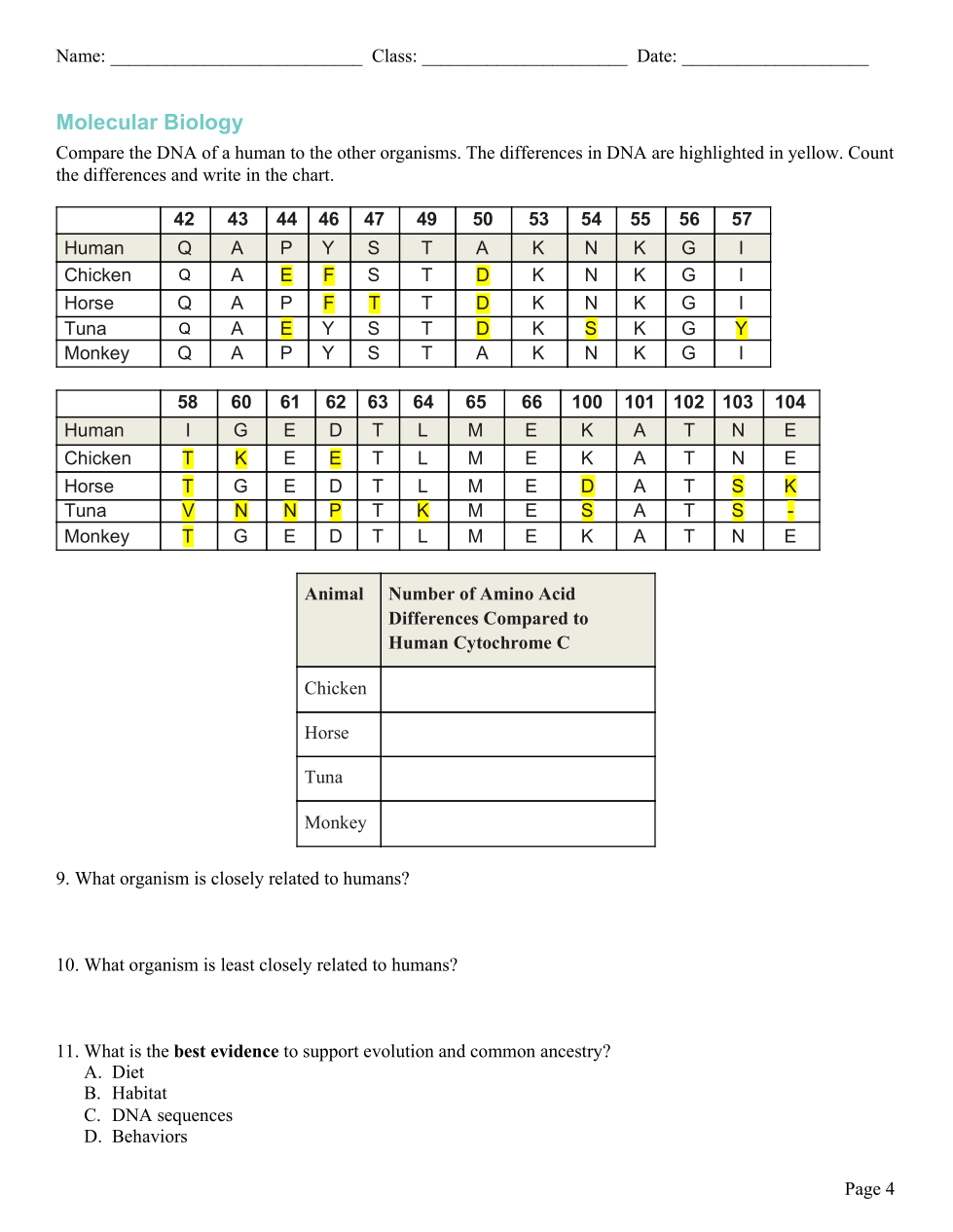 Evidence of Evolution Worksheet - Katelyn Owens | Library | Formative