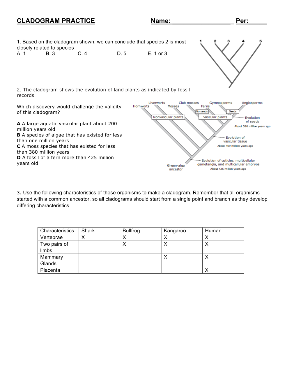 Cladogram Practice Erica Kent Library Formative