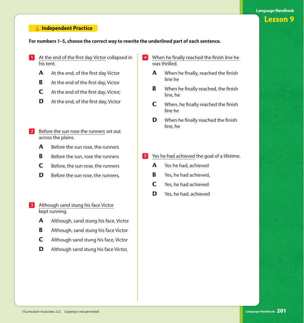Lesson 9: Commas After Introductory Elements - Jennifer Snelling ...