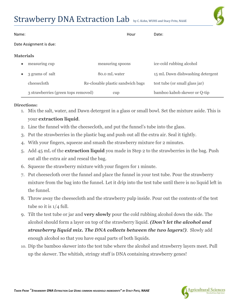 Strawberry DNA Extraction Lab - Joseph Morsaw | Library | Formative