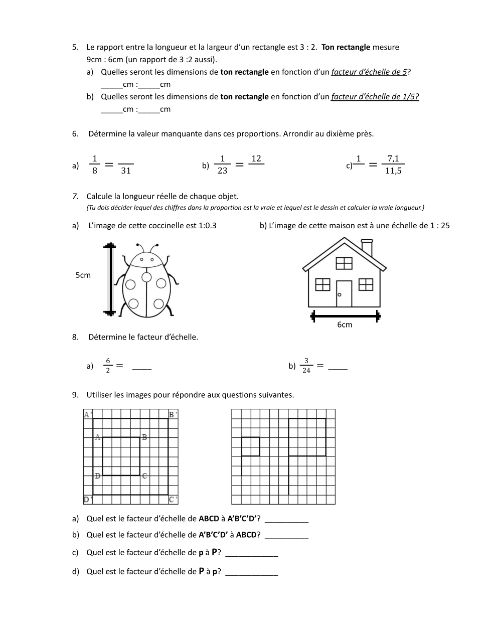 Math 9FI - CT - Facteurs Echelle et Similarite - Bonnie Wootten ...