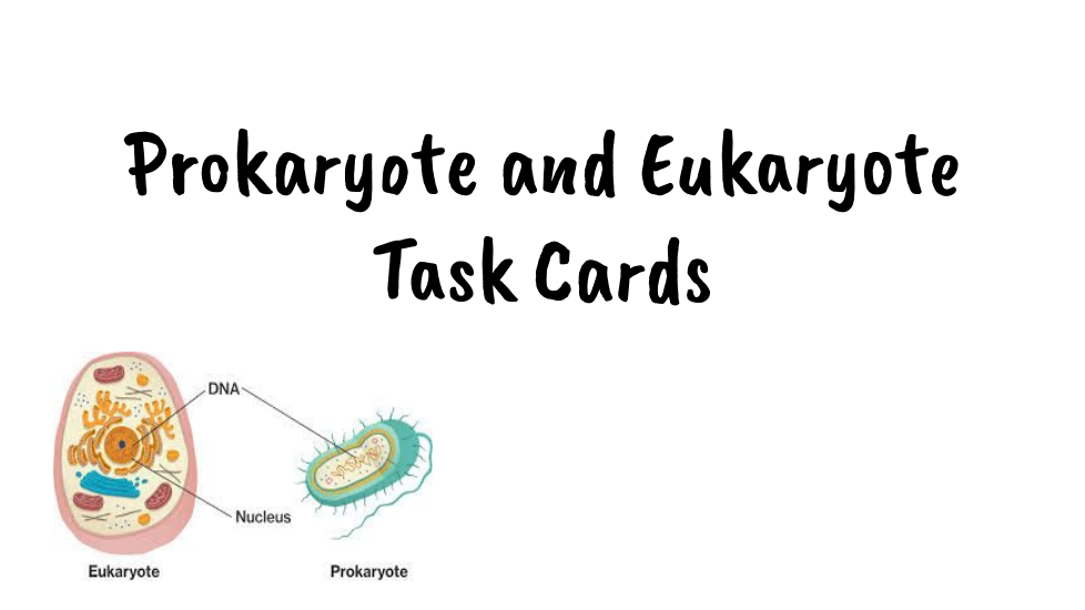 Prokaryote and Eukaryote Task Cards - Katelyn Owens | Library | Formative