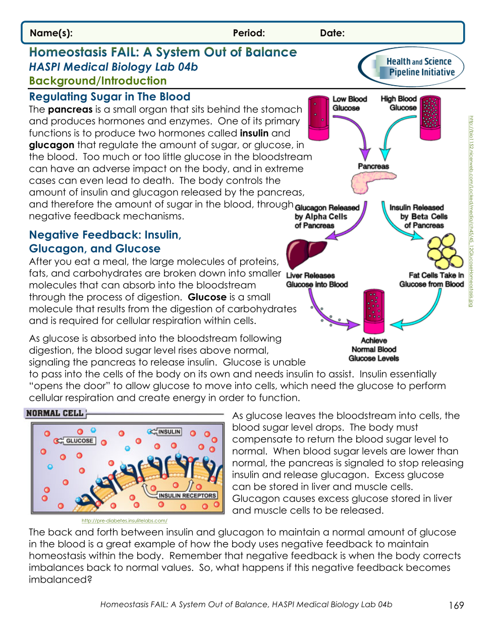 Homeostasis Fail Reading - Katelyn Owens | Library | Formative