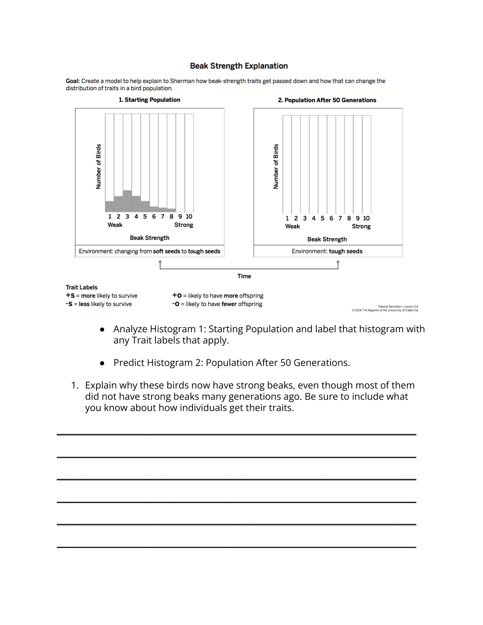 Natural Selection 2.4 (1/19) Exit Ticket - Alex Kovalik (he/him/his ...