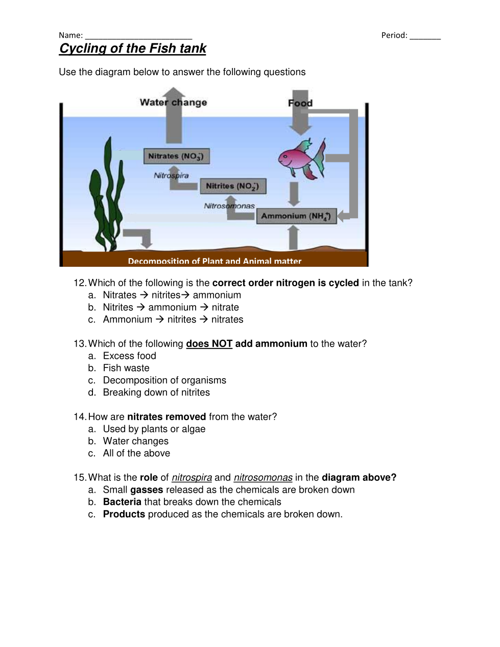Quiz - Nitrogen Cycle and Aquariums - B - CAITLIN Holgado | Library ...