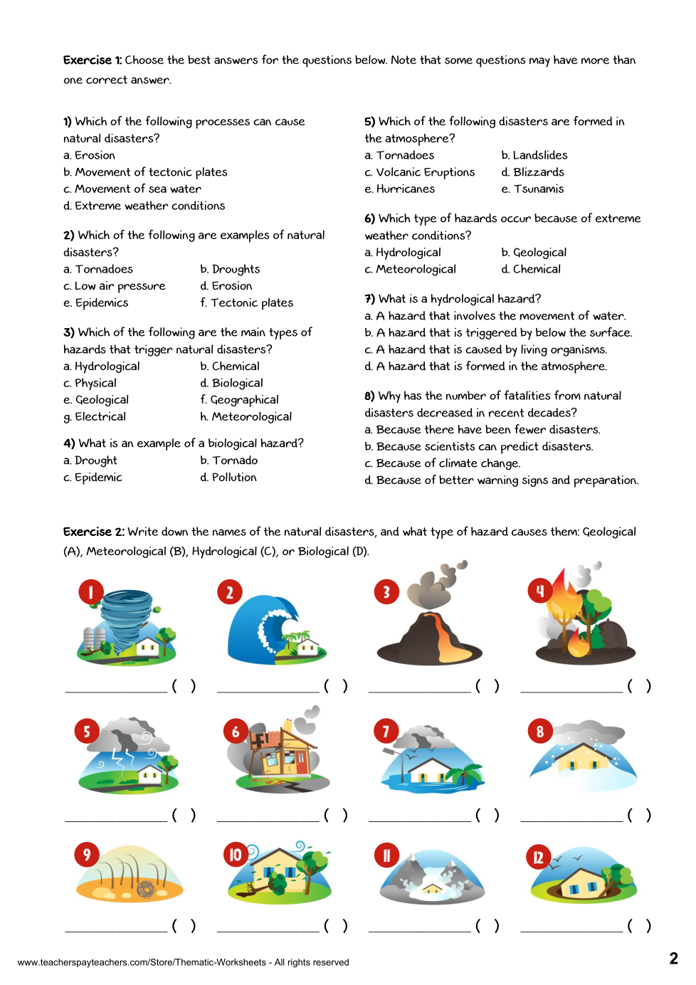 Natural Disasters - Tina Reckamp | Library | Formative