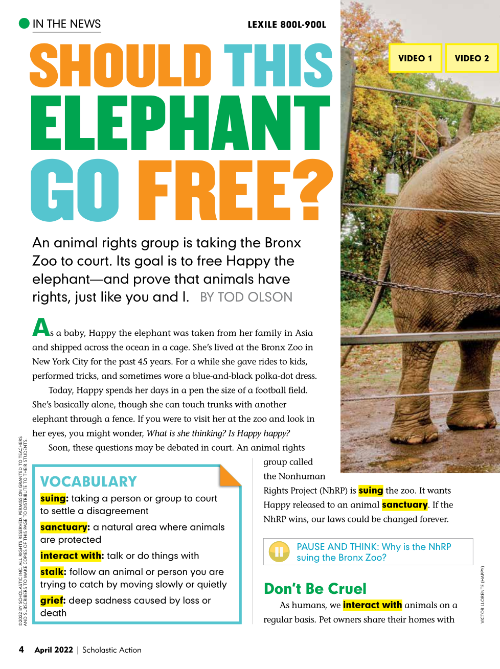 Zoos Text and Guided Qustions - Lucy O'Hare | Library | Formative