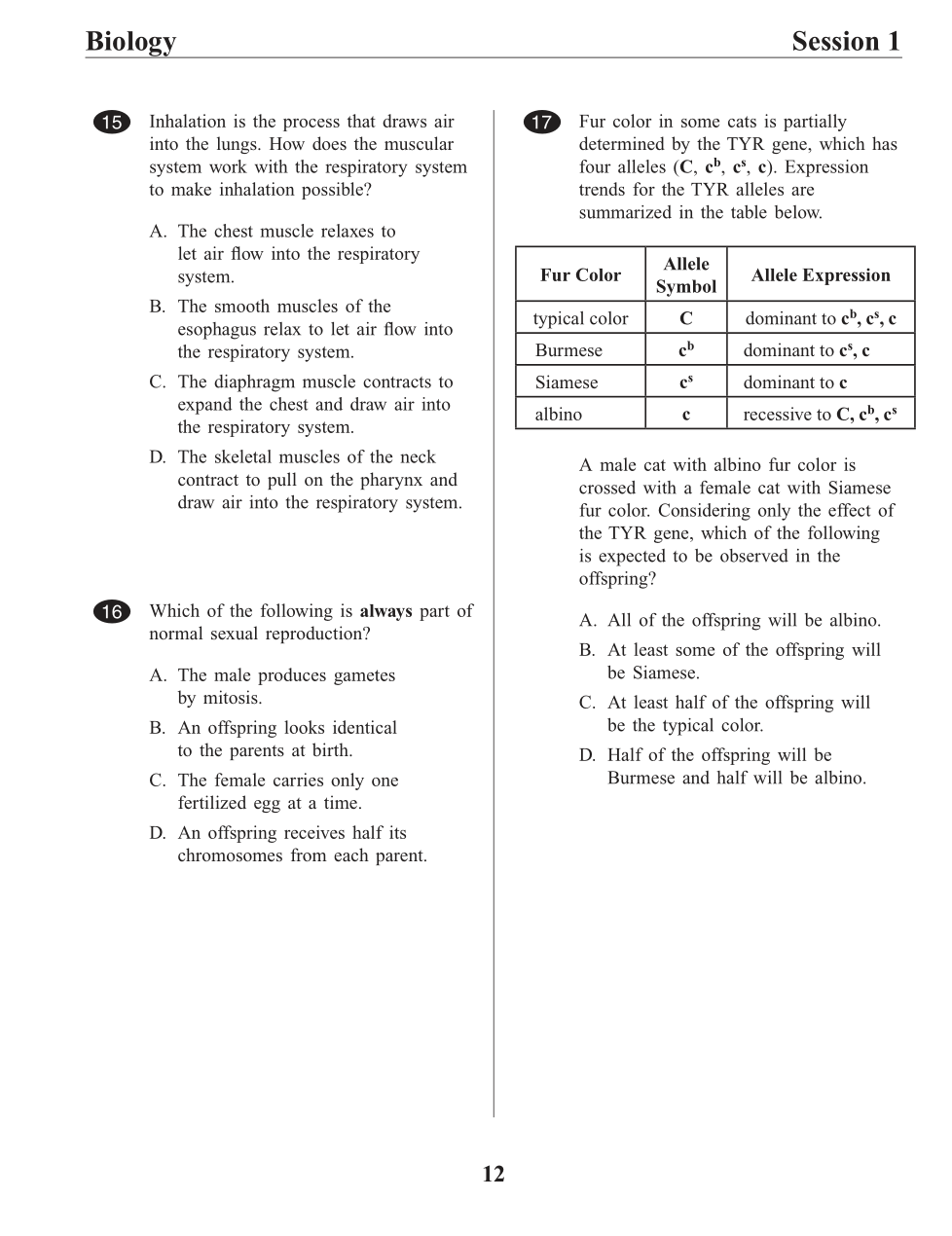 MCAS Practice Test A Katelyn Owens Library Formative