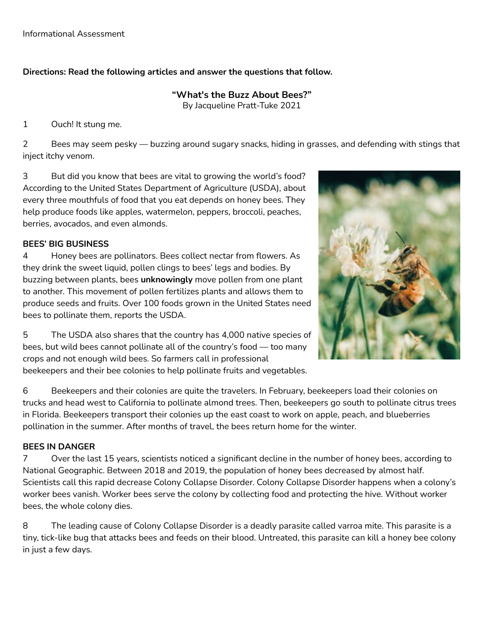 TPT - 5th Grade Informational Assessment (Bees/Destination) - jeannette ...