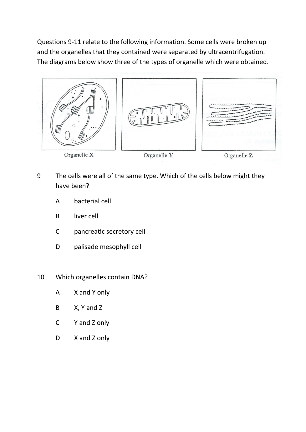 Cells multiple choice 2 - Sophie Pratt | Library | Formative