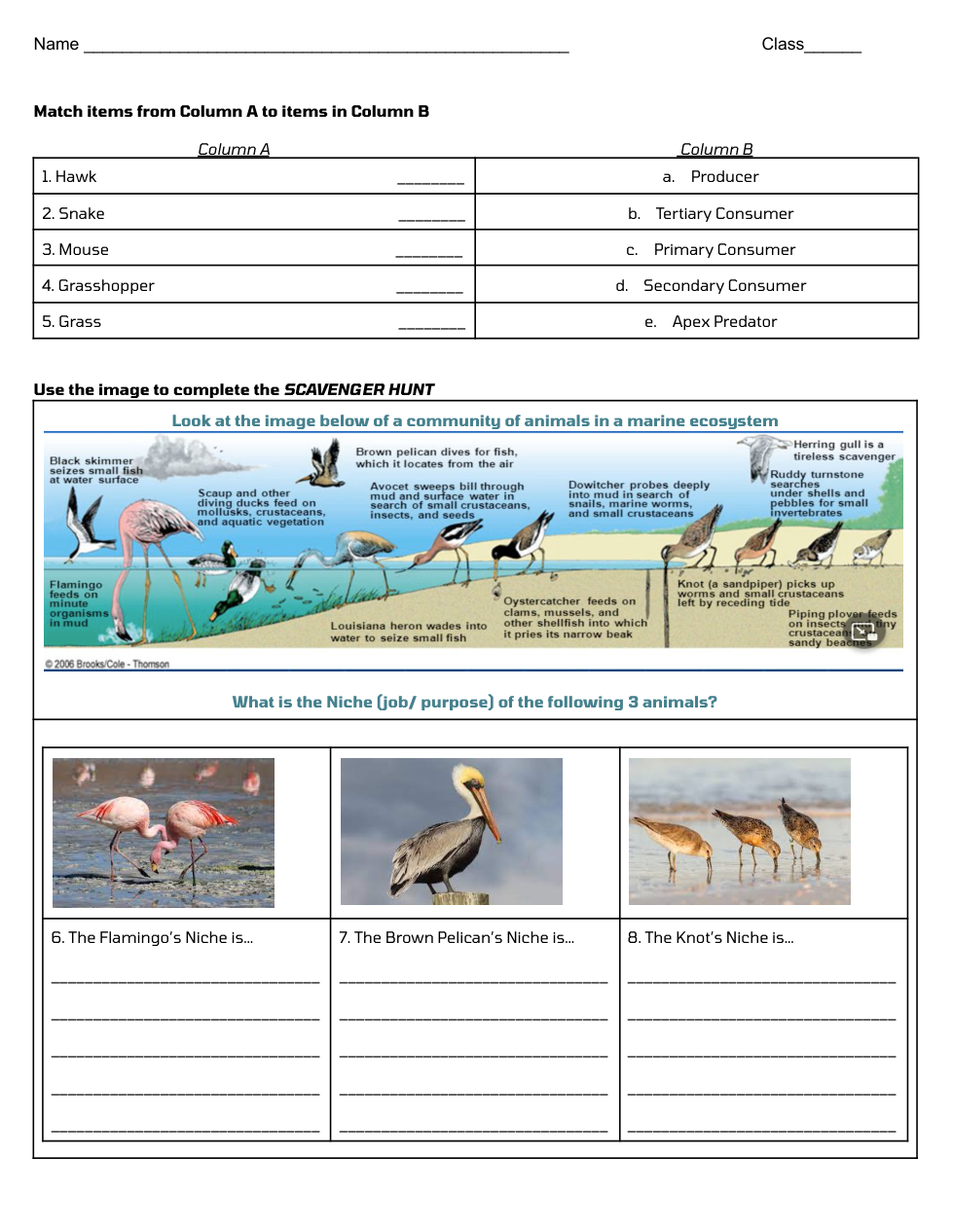 Unit 3 Quiz - Priscilla De Los Santos | Library | Formative
