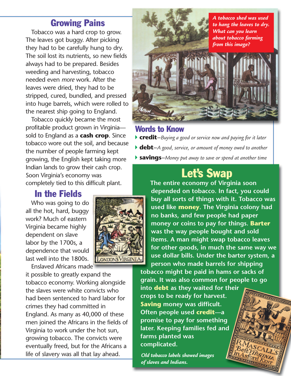 VA Studies Chapter 4 Read and Respond - Elise Jernigan | Library ...