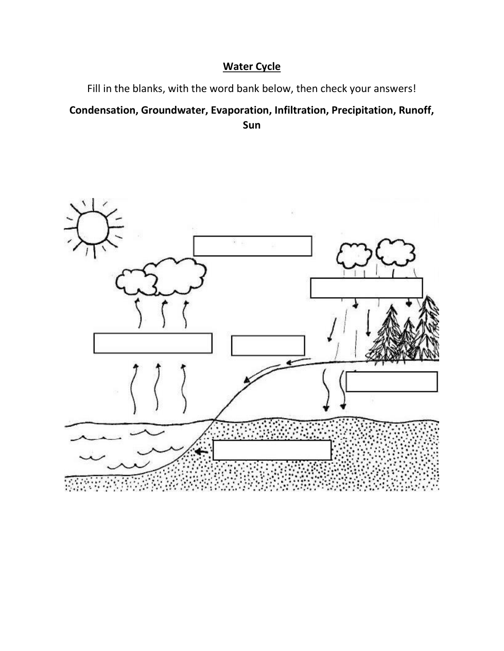 Water Cycle review - JESSICA ACKERMAN | Library | Formative