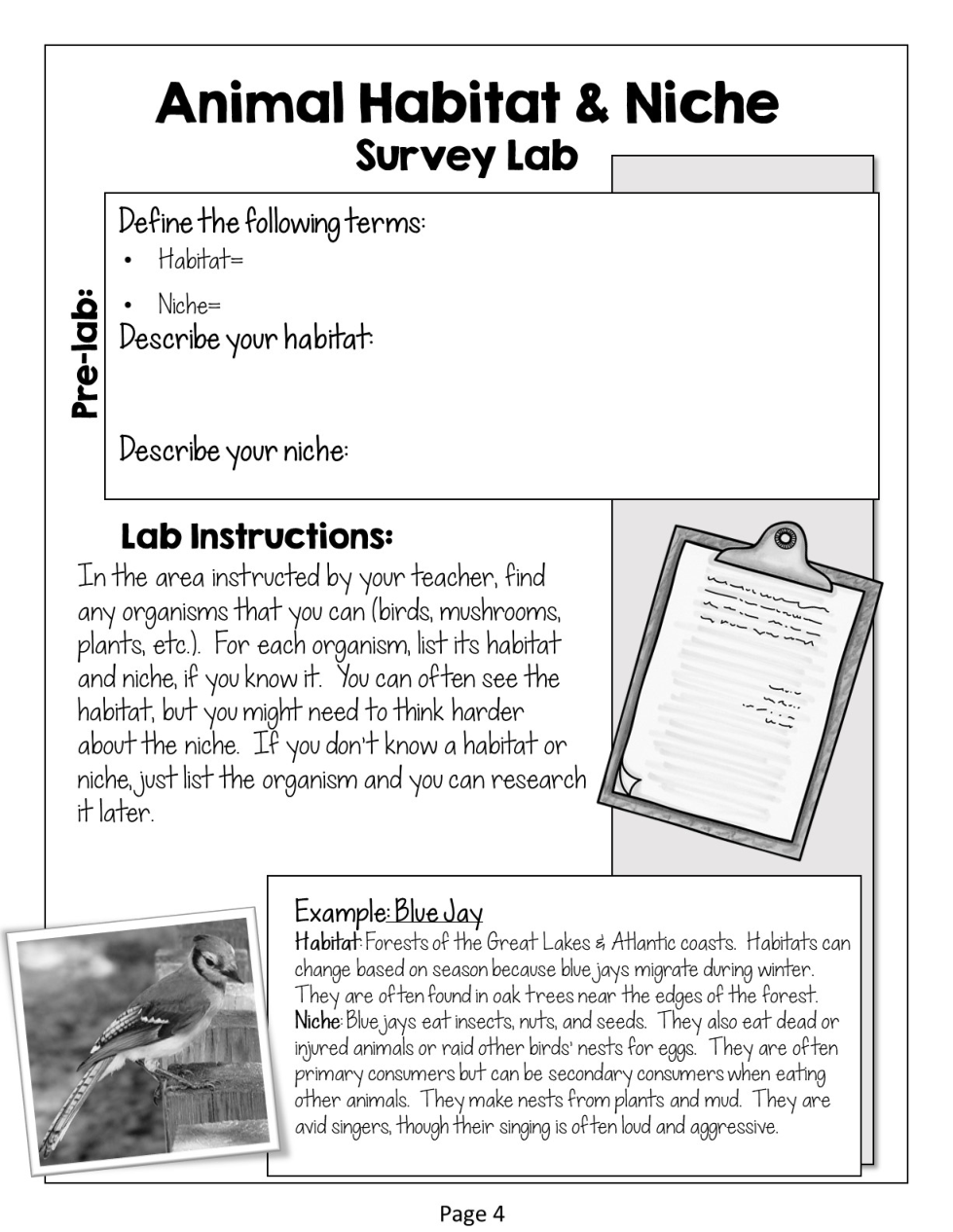 Ecosystems: Habitat vs Niche - Dana Hojnowski | Library | Formative