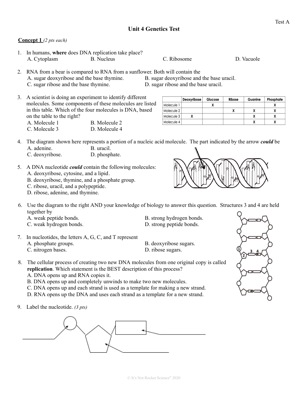 Unit 4 Genetics - Christina Densmore | Library | Formative