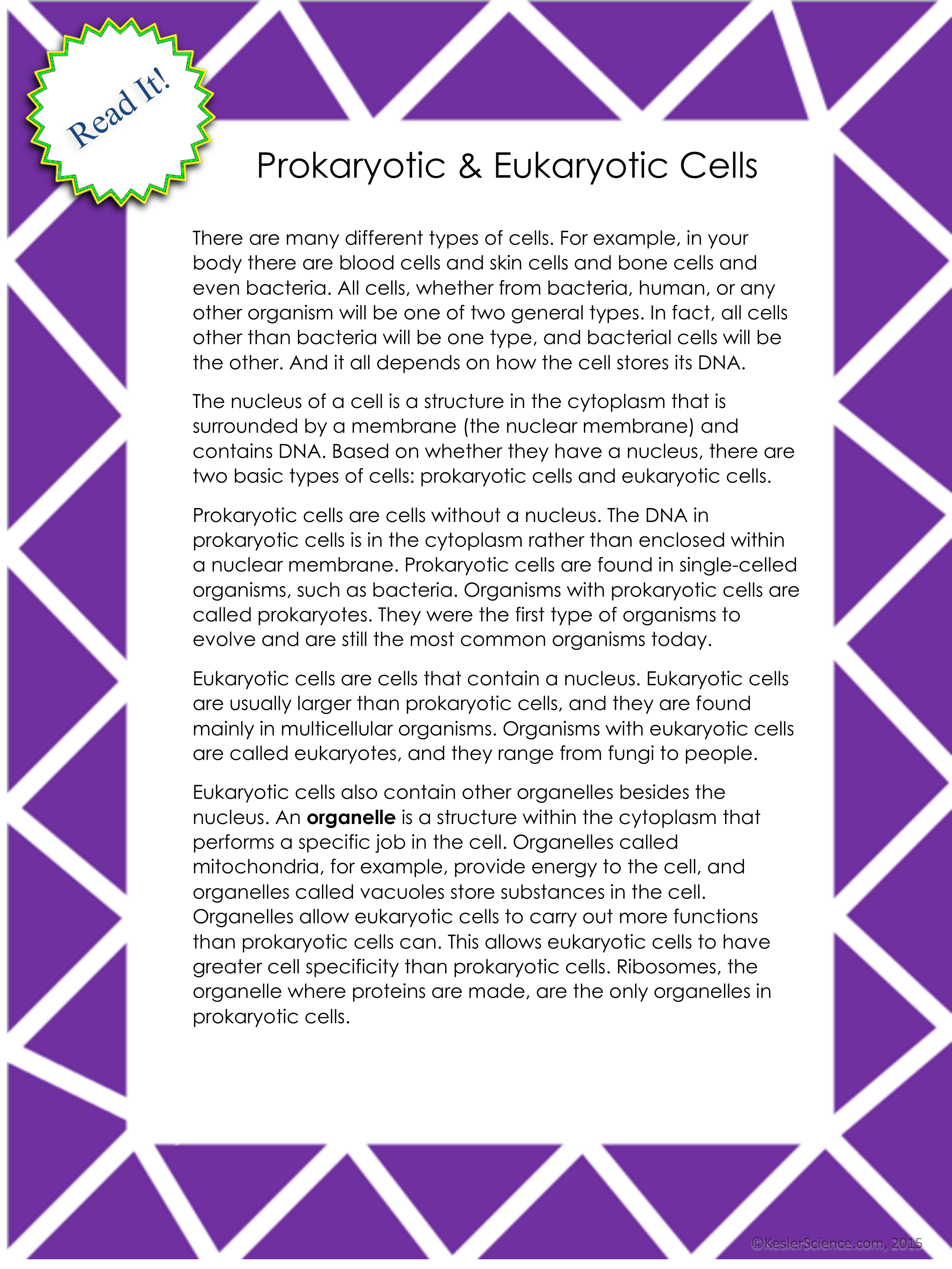 Prokaryotic And Eukaryotic Cells Worksheet