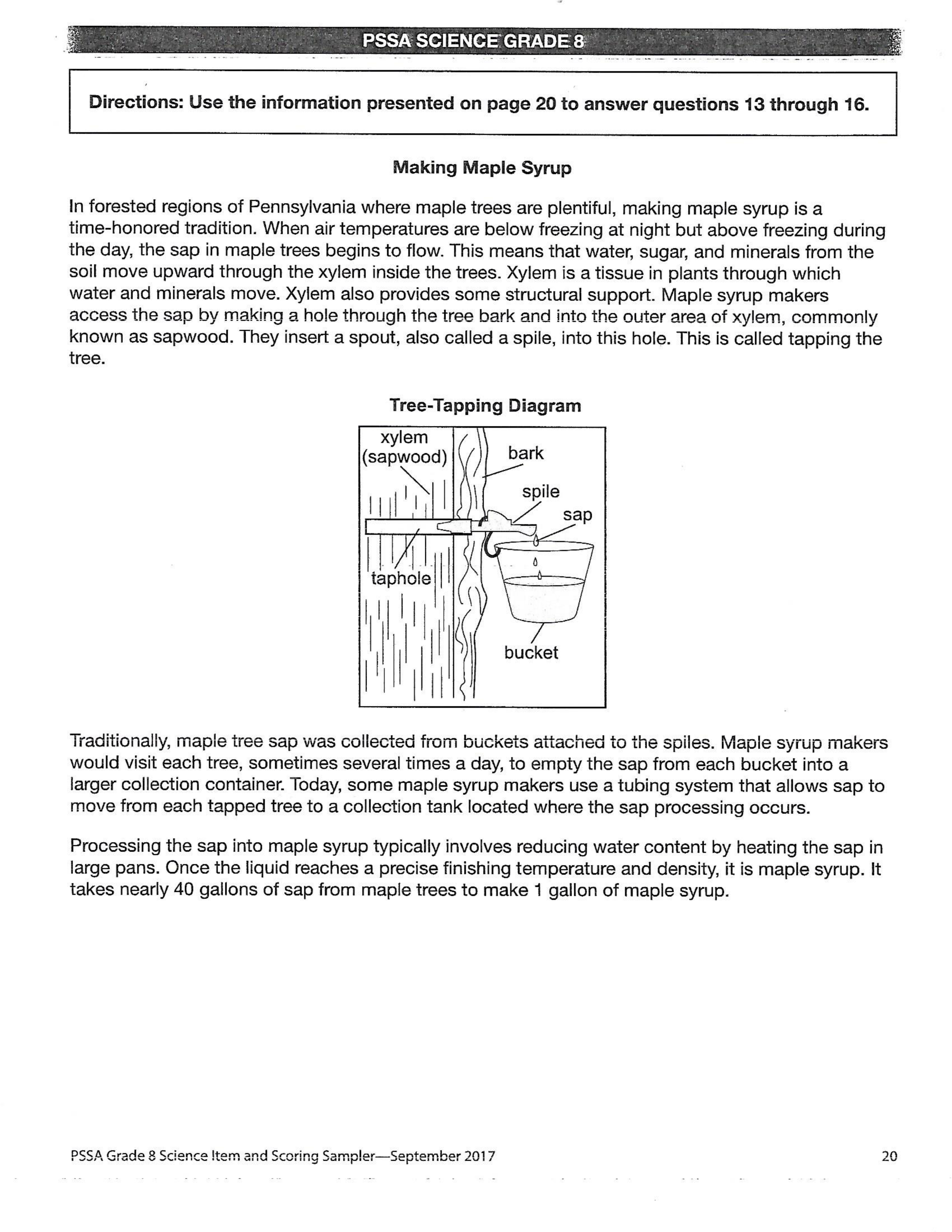 PSSA Science Practice Exam - Craig Fisher | Library | Formative