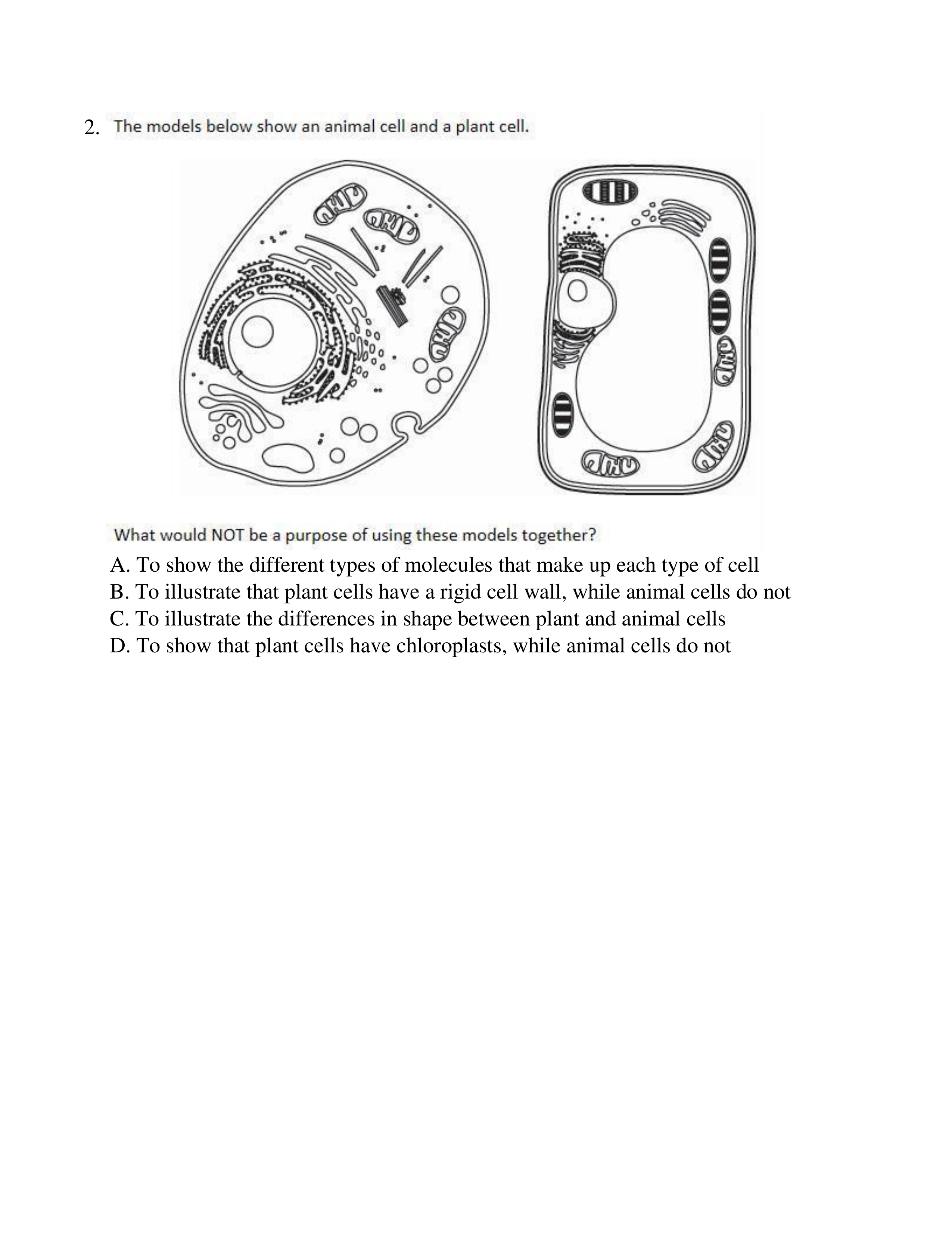 Seventh Grade Science Unit 1 Quiz 2 S7L2.a Cell Structure - Julius ...