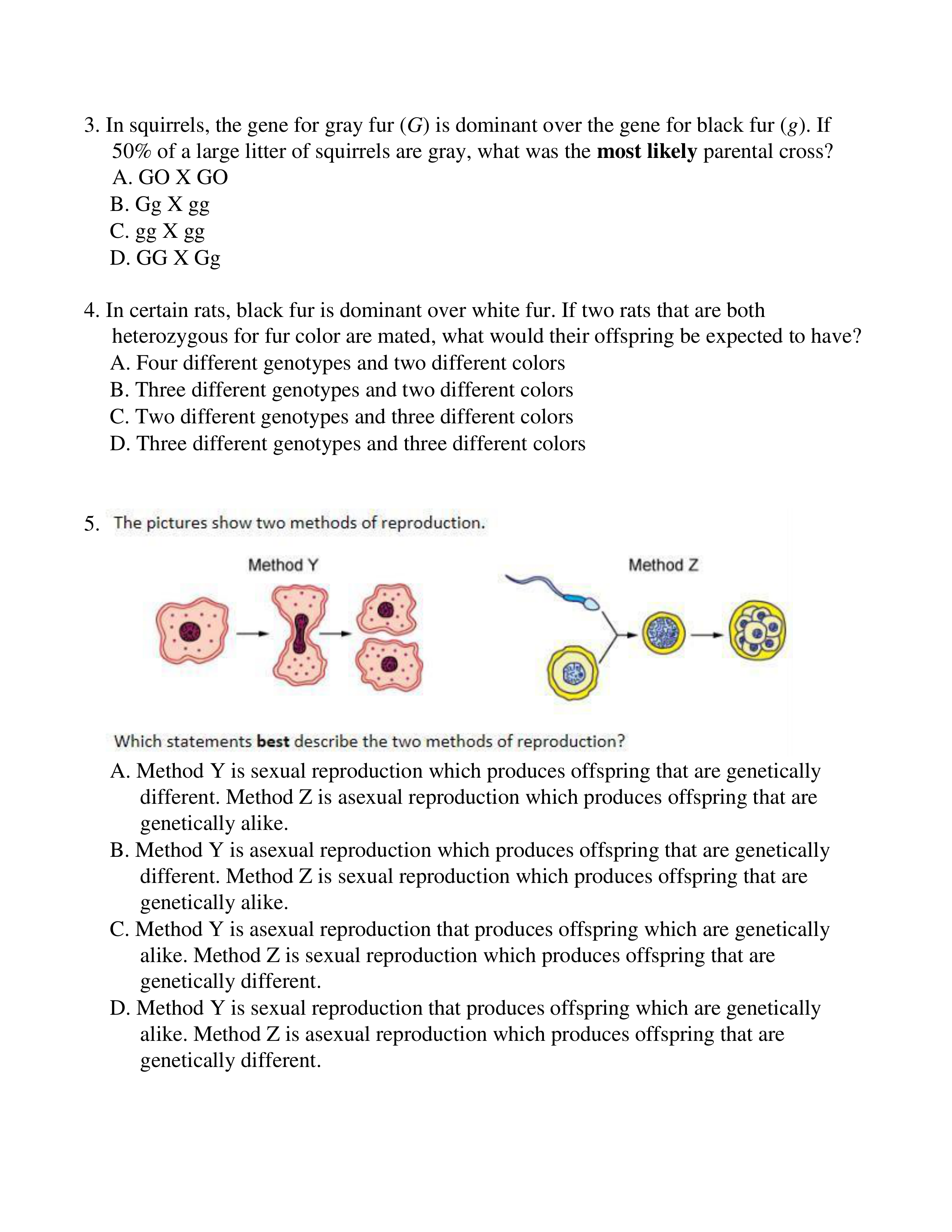 Seventh Grade Science Unit 2 Quiz 2 S7L3.b Reproduction Punnett ...