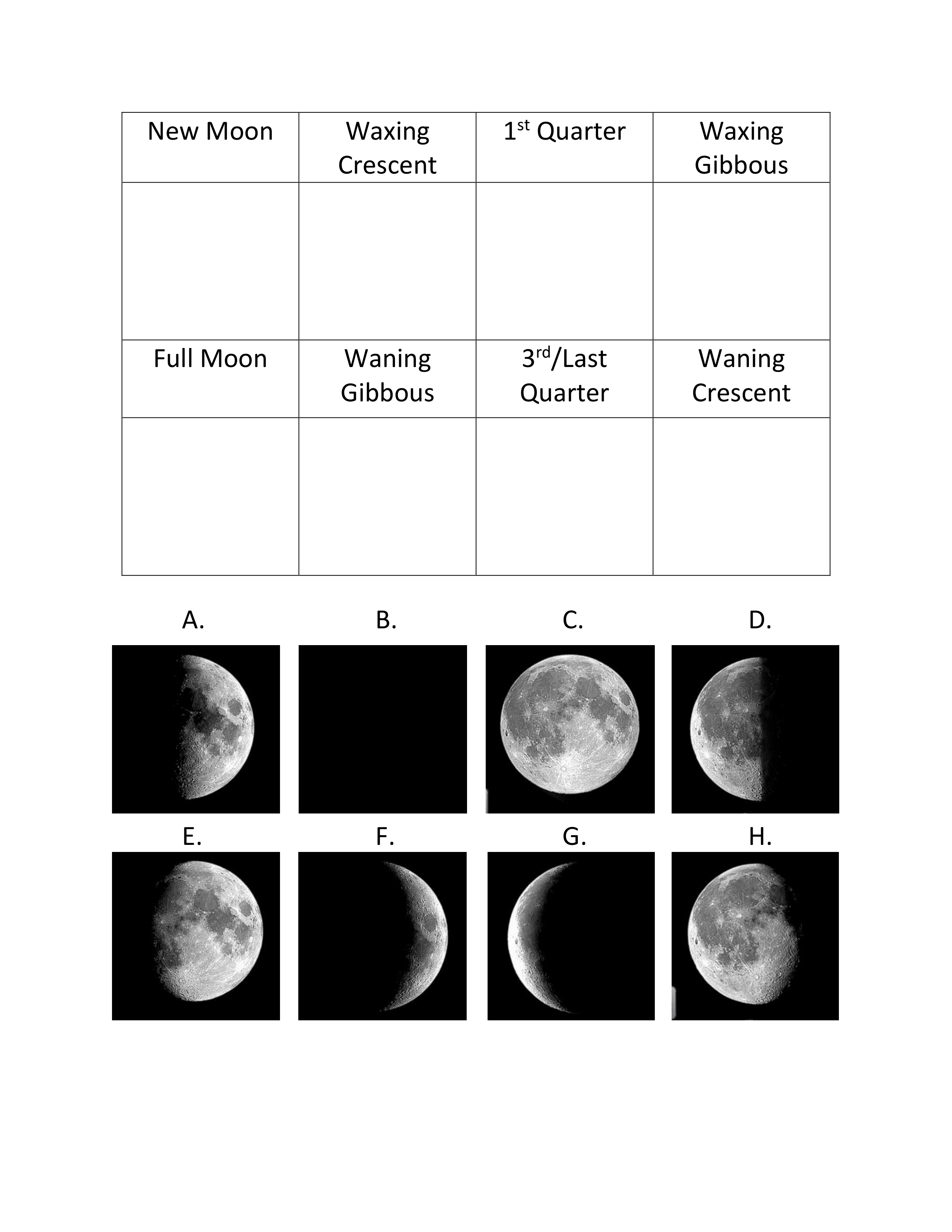 Moon Phases Review - GUILLERMO LOBATOS | Library | Formative